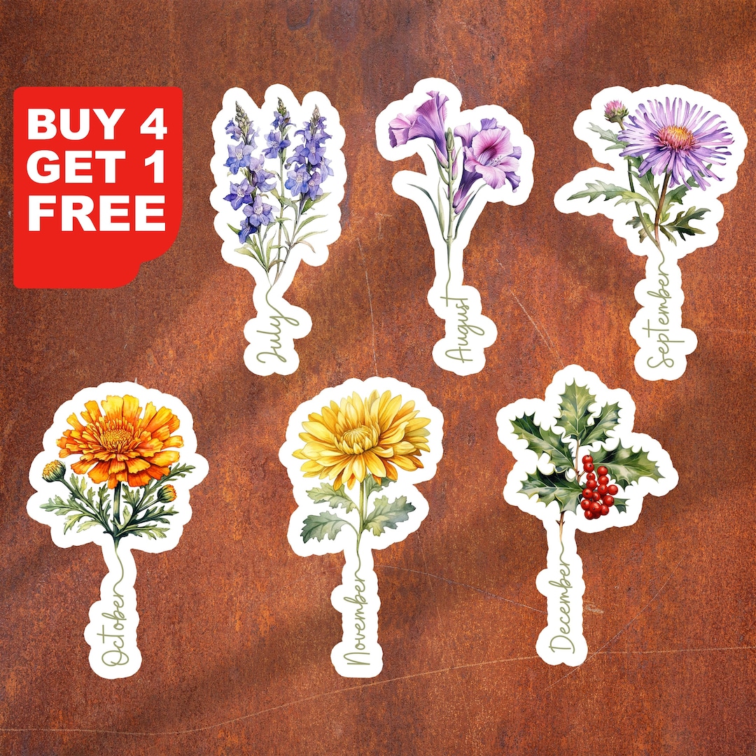 Chrysanthemum Daisy Birth Flower Stickers Wild Flower Stickers Birth ...