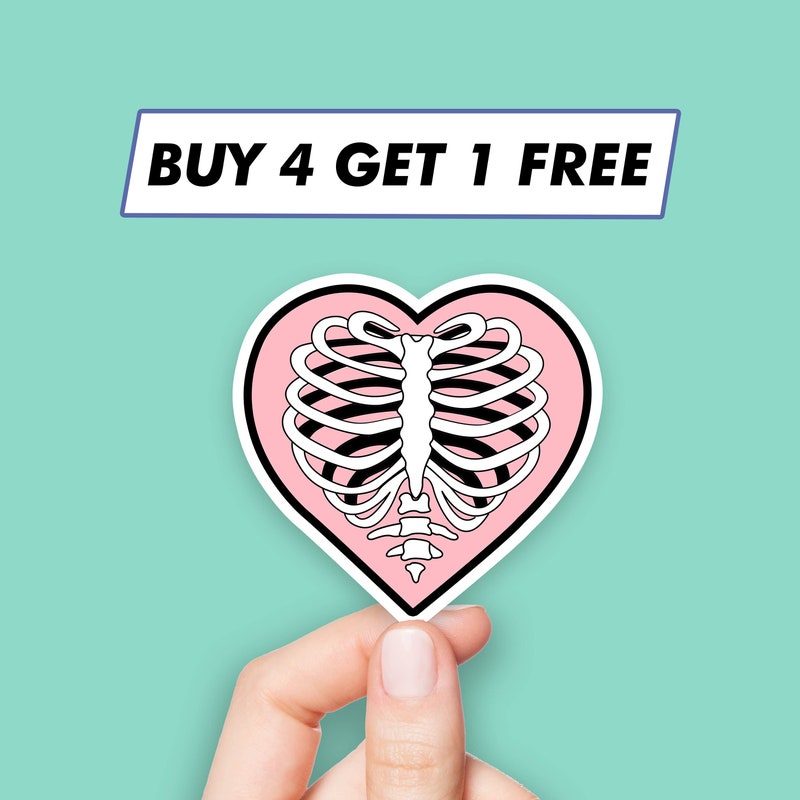 Rib Cage Labeled Sticker - Etsy