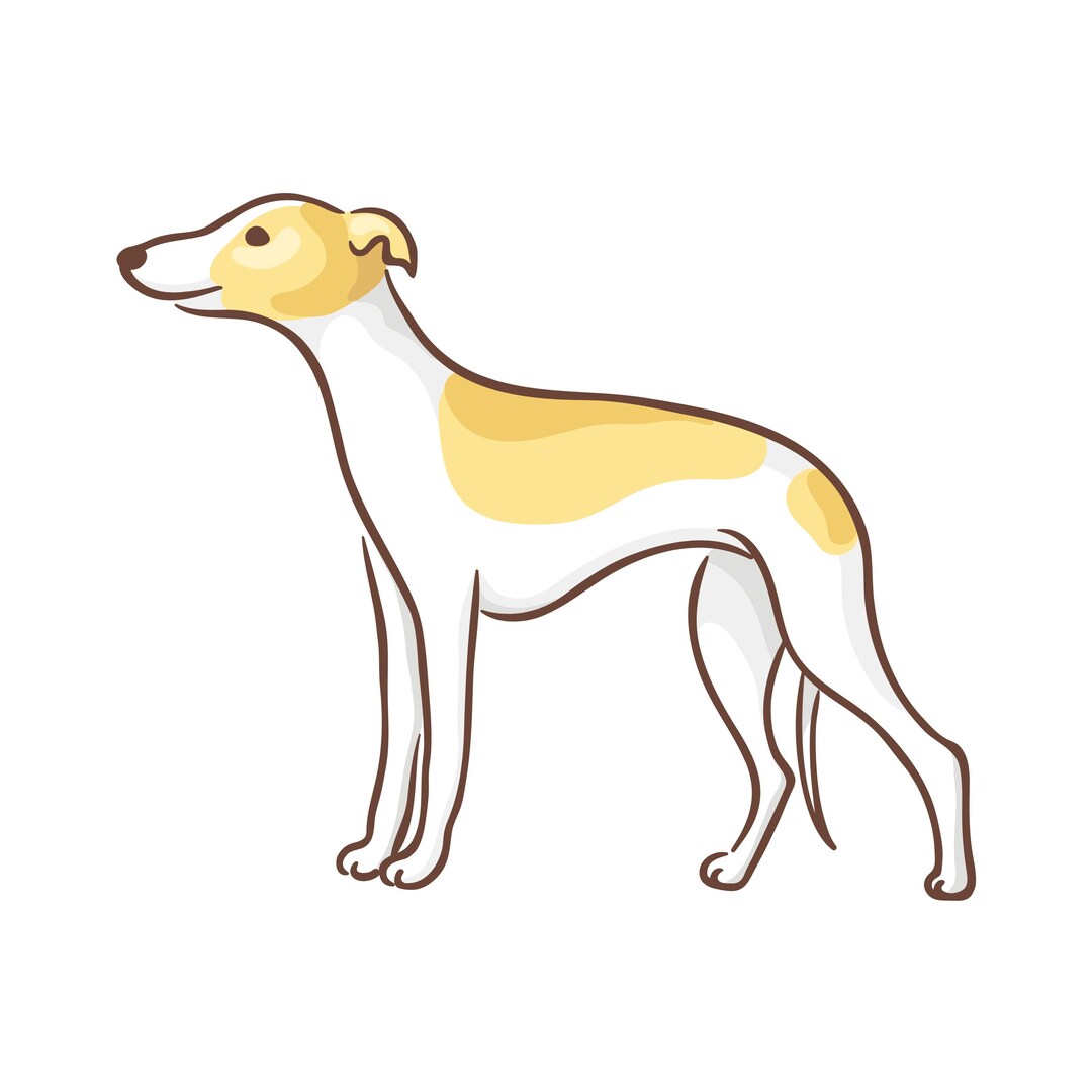 Whippet Cartoon Dog Breeds Clipart Italian Greyhounds and - Etsy
