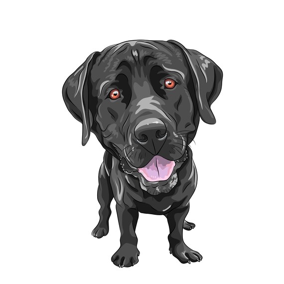 Labrador Profile Stencils