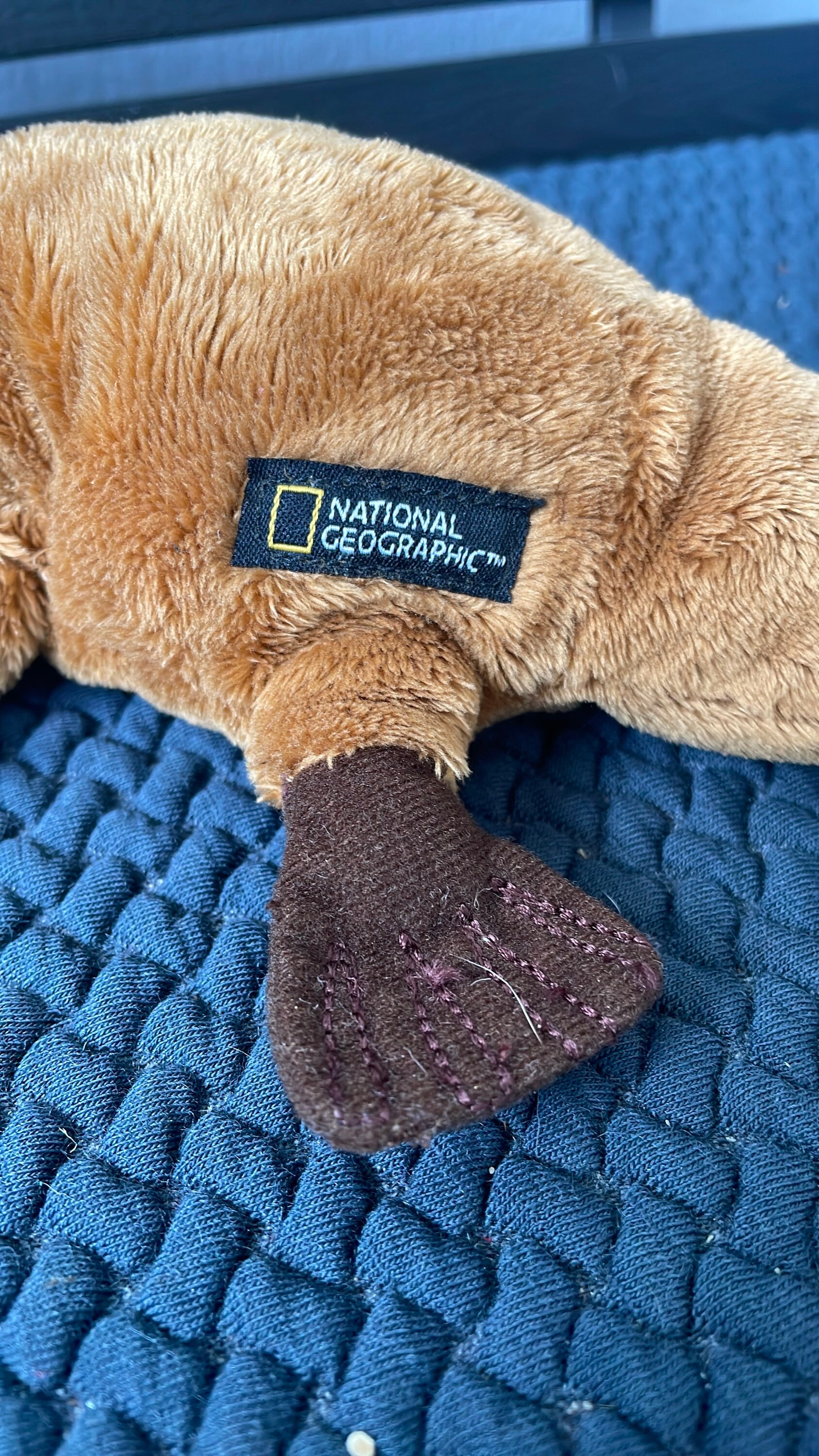 National Geographic Brown Australian Platypus Plush Soft Animal Toy Size 10 Etsy Canada