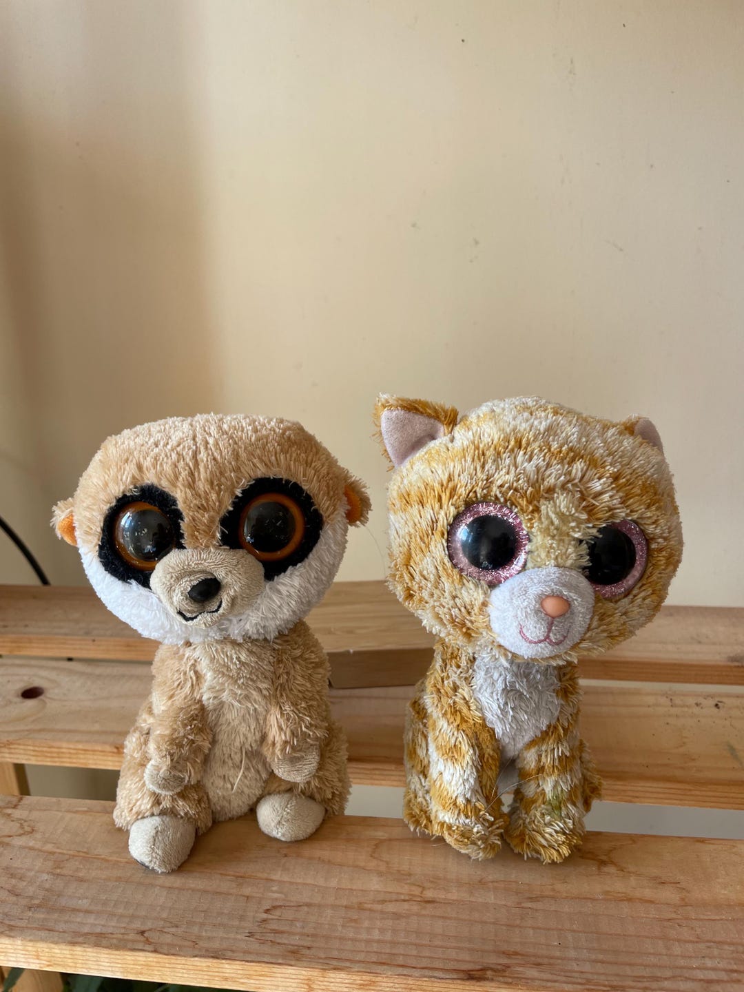 Ty Rebel the Meerkat and Tabitha the Cat Beanie Boos Plushies Kids Gift ...
