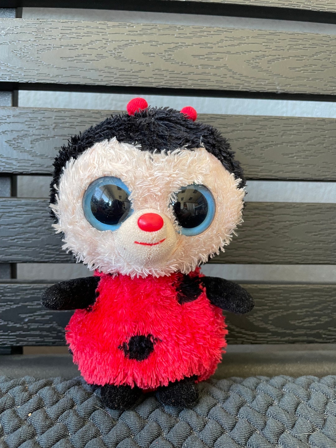 TY Beanie Collection Bugsy the Lady Bug Stuffed Plush Animal 17cm ...