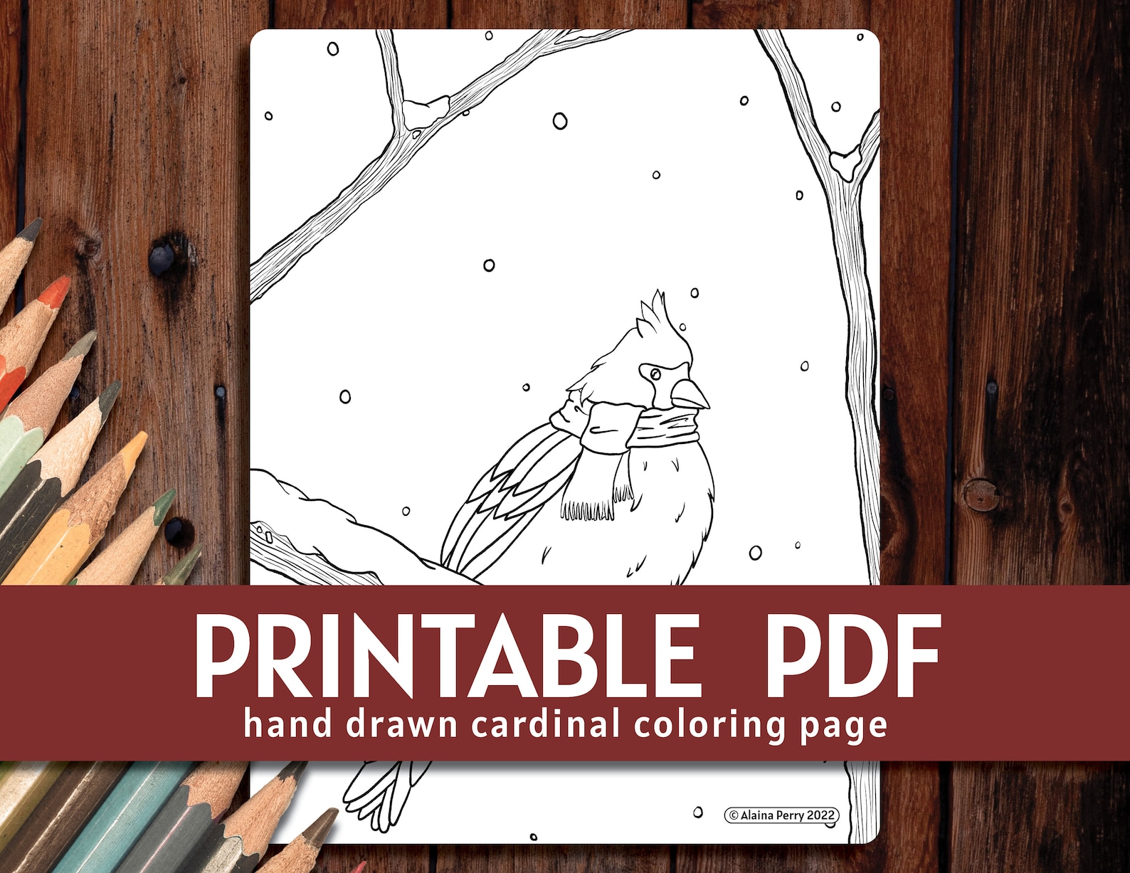 Cardinal Bird Coloring Page - Printable - Etsy