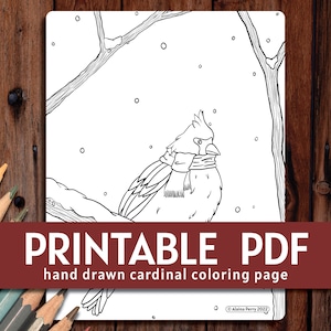 Cardinal Bird Coloring Page - Printable - Etsy