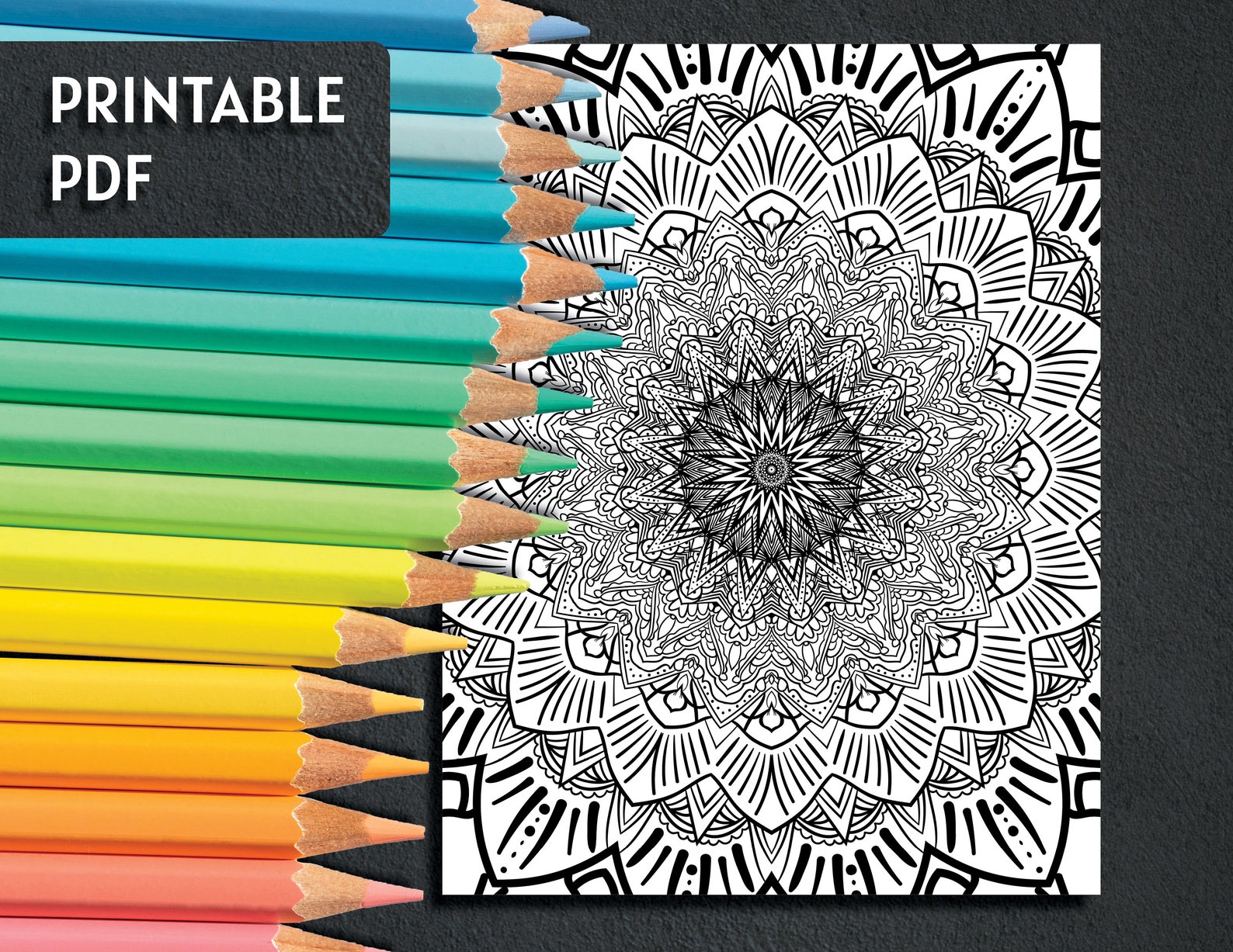 Fun Mandala Detailed Coloring Page Digital Download Printable - Etsy