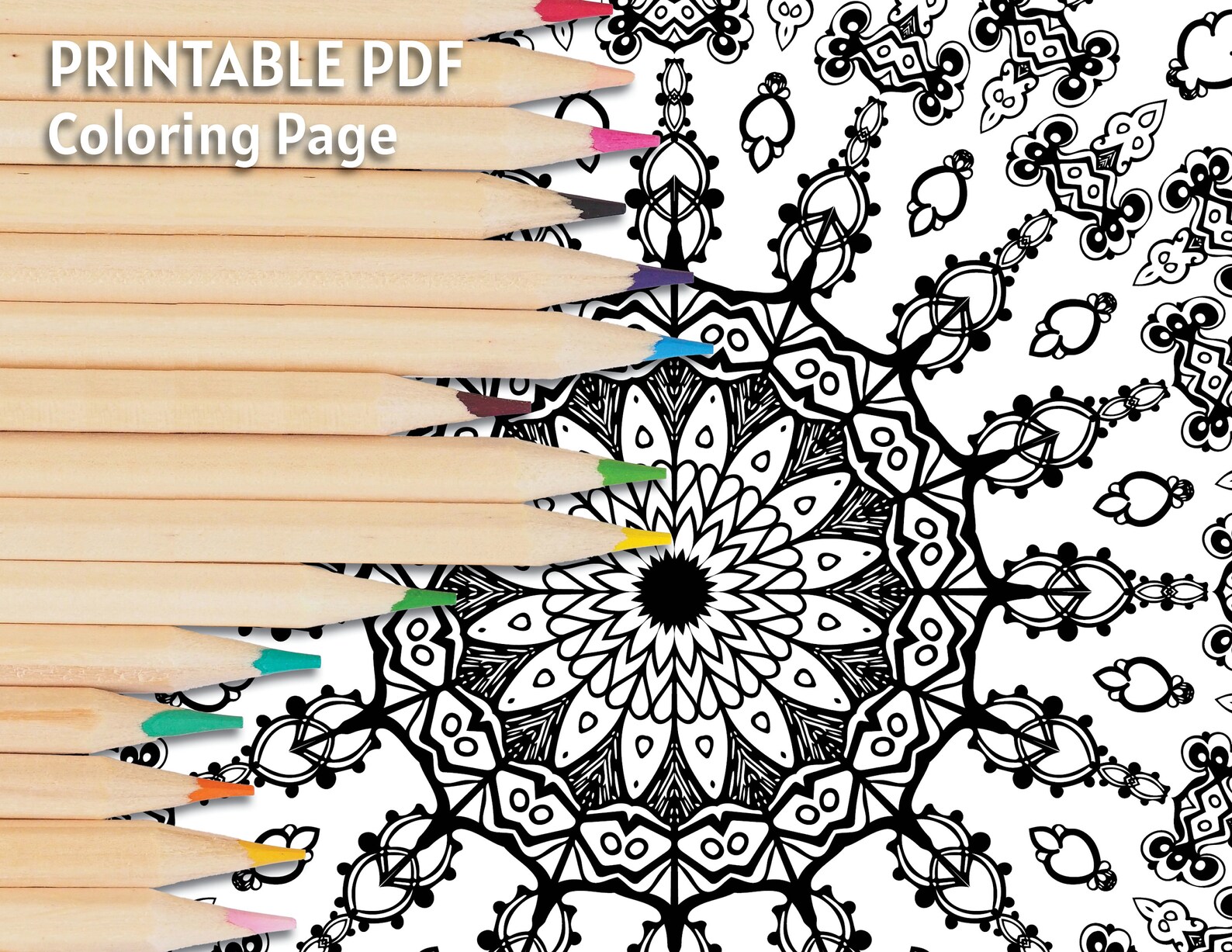 Pretty Mandala Coloring Book Easy Printable - Etsy