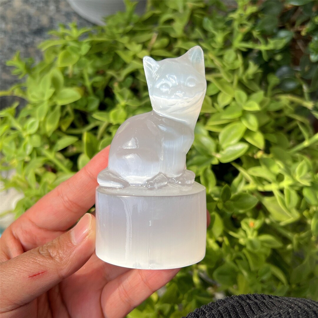 4inch Natural Hand Selenite Cat Carved,quartz Animal Sculpture Crystal ...