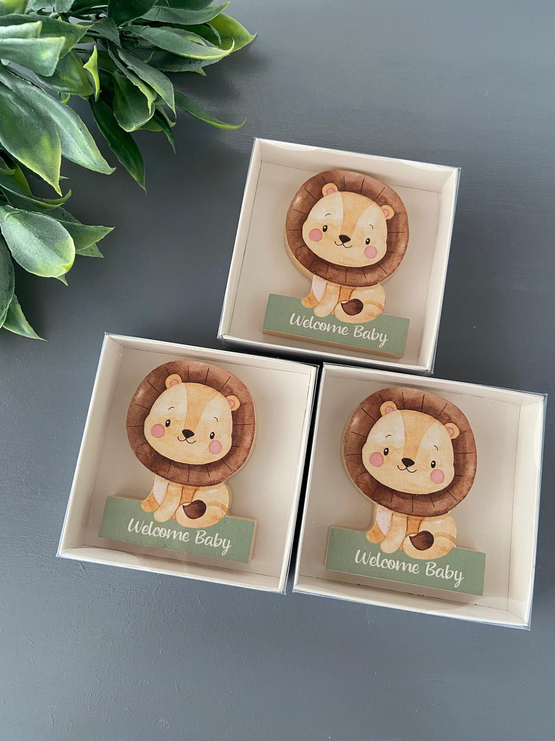 Lion Magnets - Baby Shower Gifts, Boy Safari Decorations, A Wild ...
