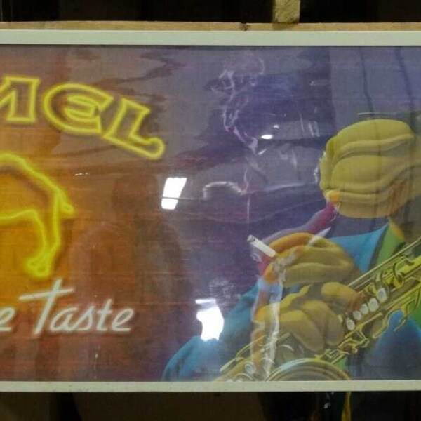 Camel Lighted Sign - Etsy