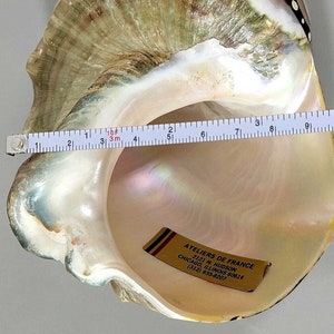 Ateliers De France Conch Shell, Hand Painted in Paris, 1985 24K Gold ...