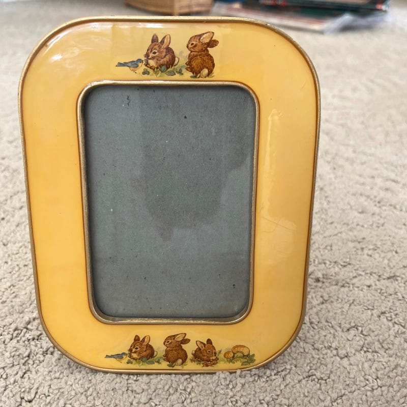 Rabbit Picture - Etsy