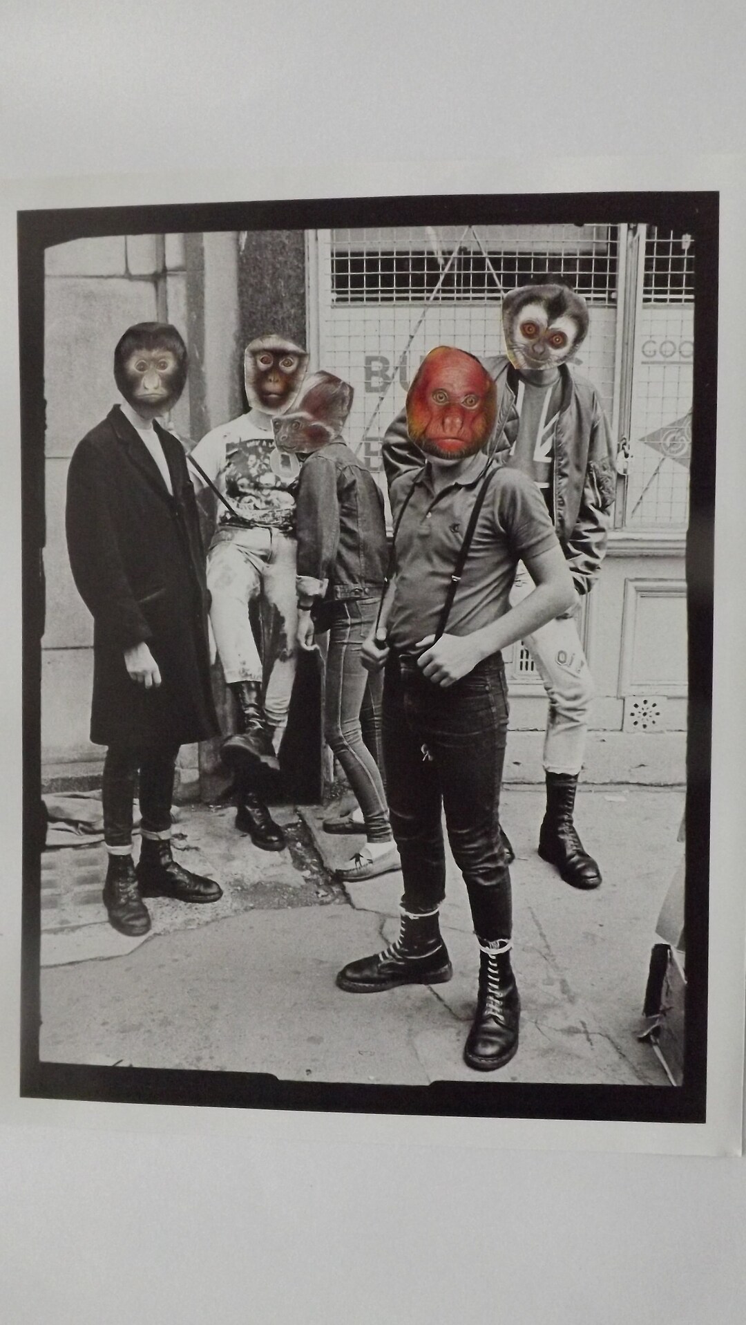 Skinhead Monkeys Art Print. Unlimited Edition. A4. Signed. Teenaged ...