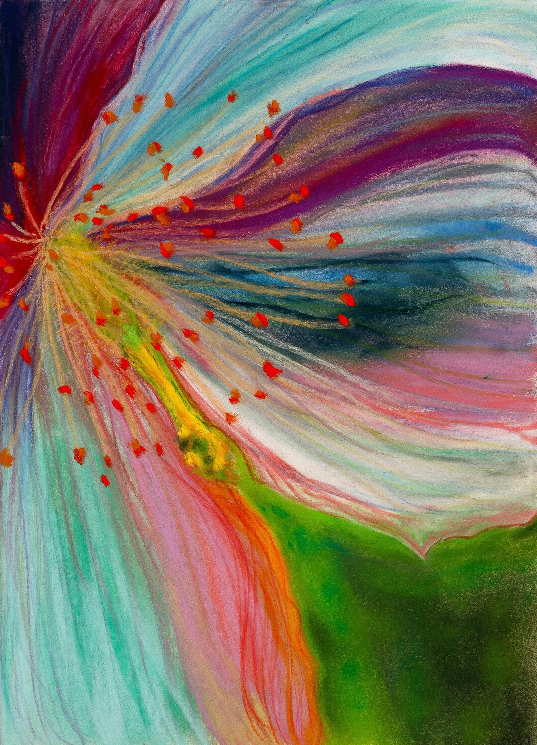 Multicolored Exotic Flower, Plant Pastel on Pastelmat Paper, Unique ...