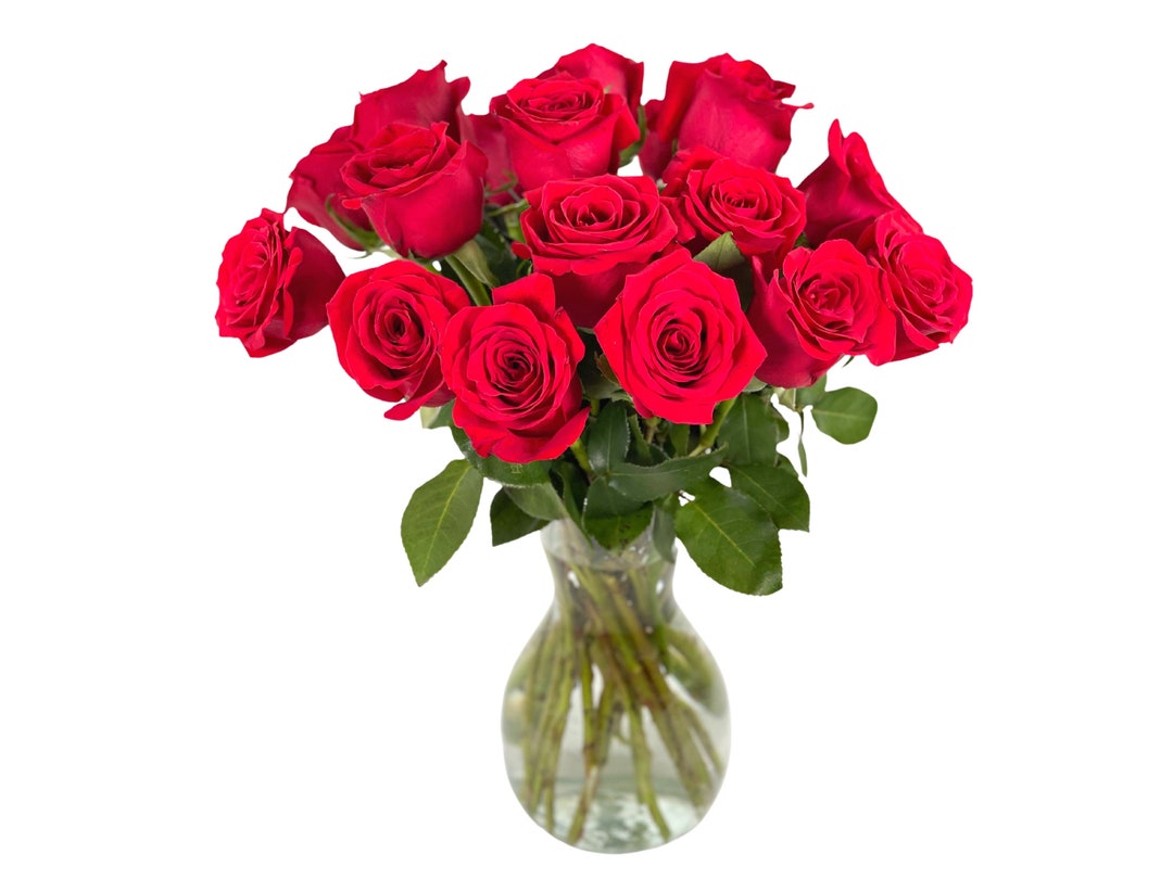 18 Fresh Cut Red Roses by Arabella Bouquets With a Free Hand-blown ...