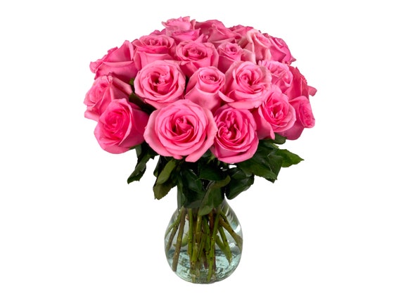 25 Fresh Cut Pink Roses by Arabella Bouquets With Free Hand | Etsy