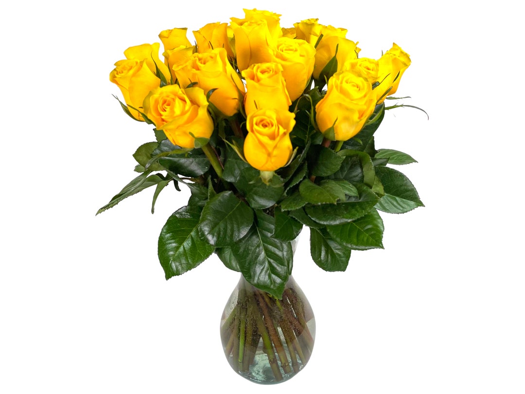 Fresh Cut Yellow Roses Bouquet at Imogen Parry-okeden blog