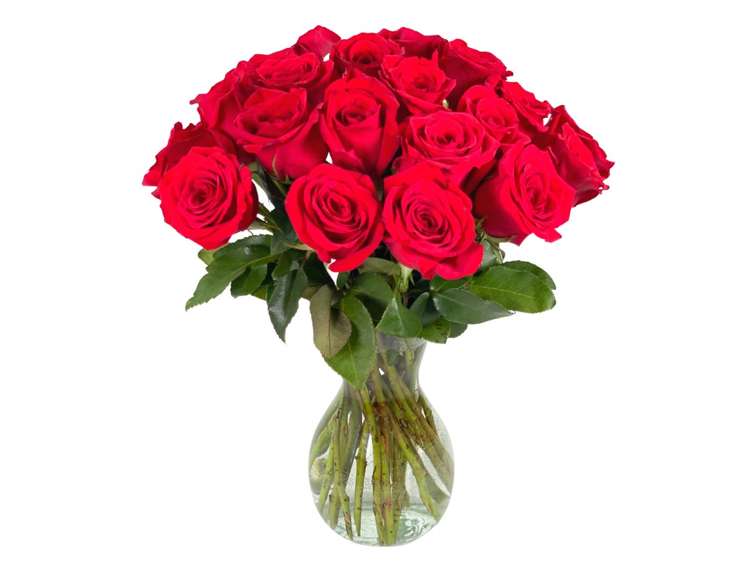 25 Fresh Cut Red Roses by Arabella Bouquets With Free, Hand Blown Glass ...