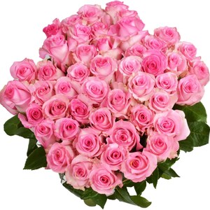 50 Stem Pink Roses by Arabella Bouquets (bulk Fresh Cut Flowers) - Etsy