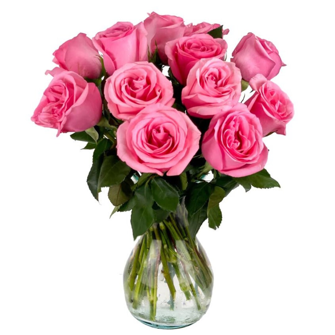 12 Pink Rose | Fresh Flowers Arrangement With Vase | Arabella Bouquets ...