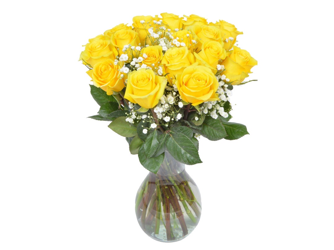 18 Yellow Roses With Baby's Breath by Arabella Bouquets With a Free ...