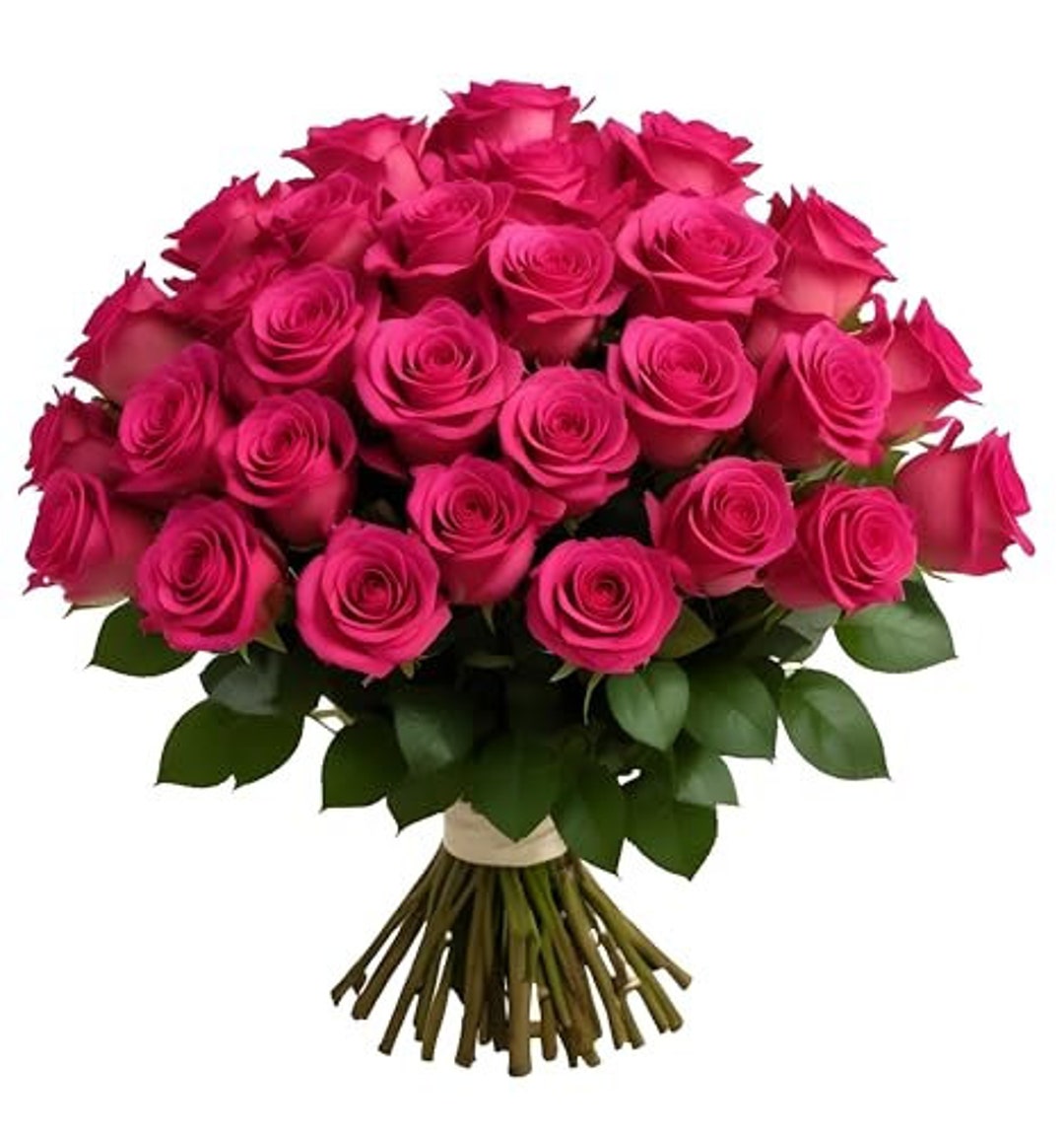 100 Fresh Hot Pink Roses | Arabella Bouquets | Bulk Flowers for ...