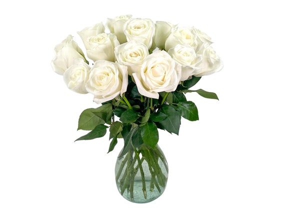 Fresh White Rose Flowers
