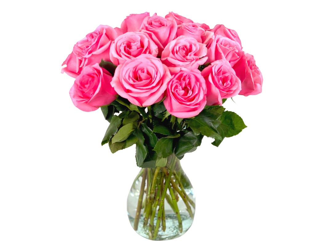 18 Fresh Cut Pink Roses by Arabella Bouquets With a Free Hand-blown ...