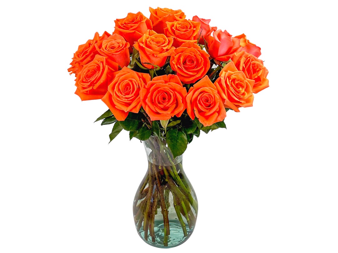 25 Fresh Cut Orange Roses by Arabella Bouquets With a Free Hand-blown ...