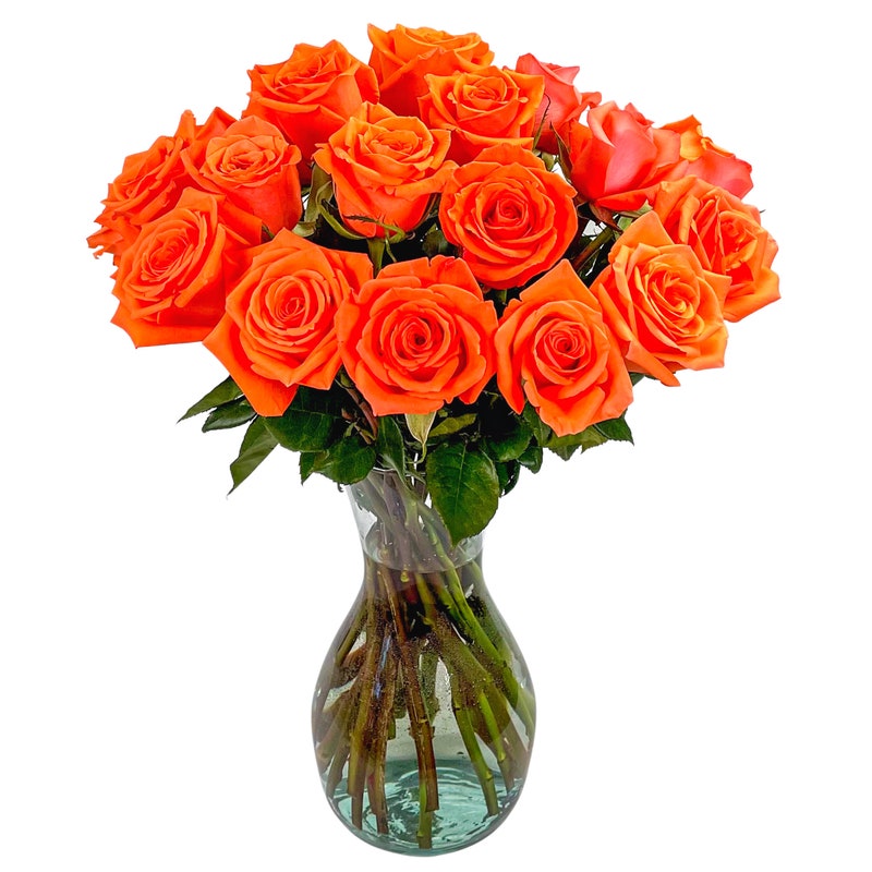 Fresh Cut Flowers - Etsy