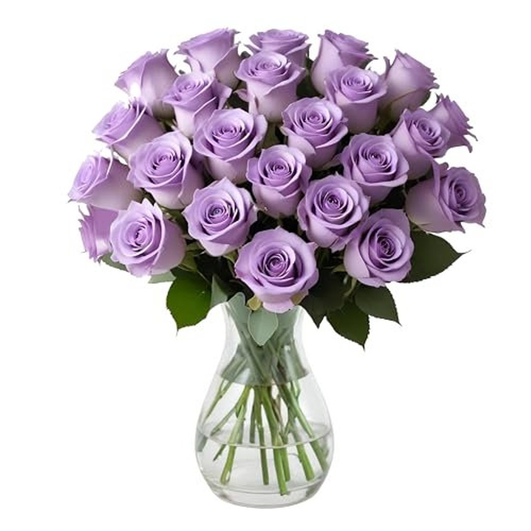 25 Fresh Purple Roses With Vase | Arabella Bouquets | Flowers for ...