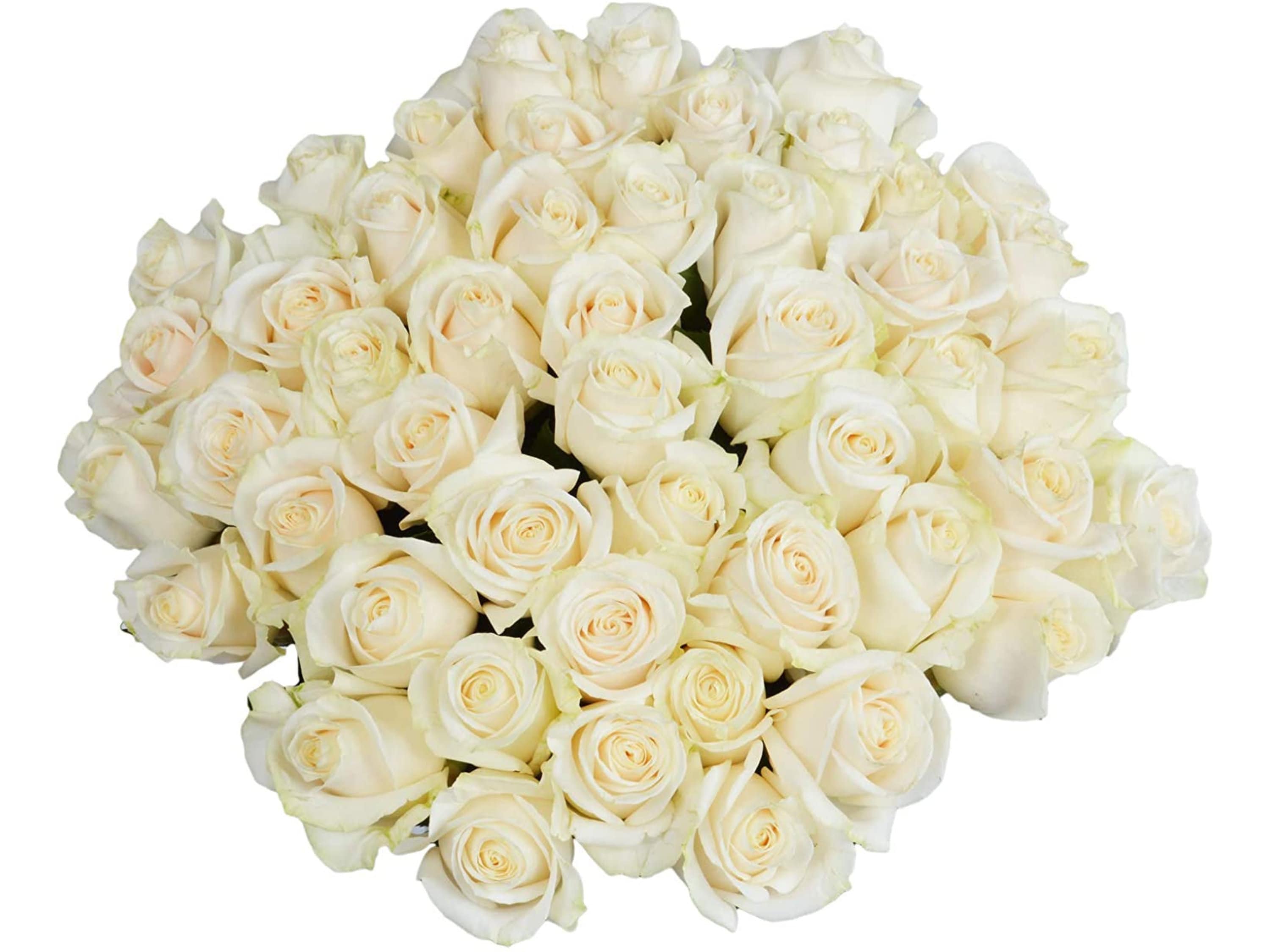 50 Stem White Roses by Arabella Bouquets bulk Fresh Cut - Etsy