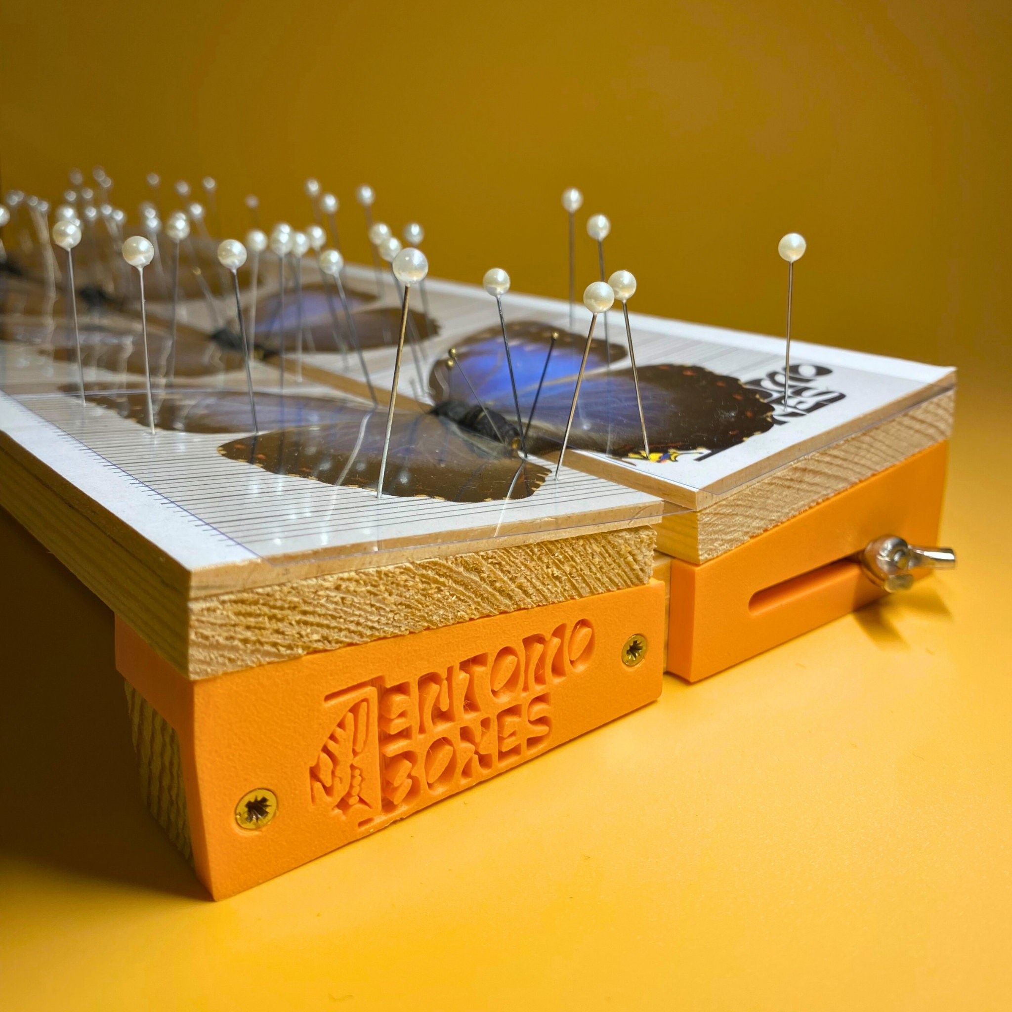 Adjustable Balsa Wood Spreading Board for Butterflies and Moths ...