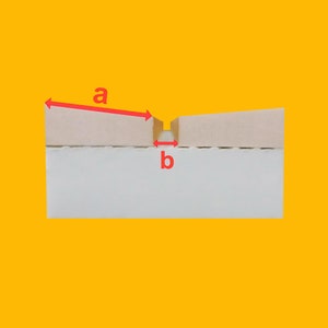 Butterfly Moth Spreading Board With Grid Sticker Taxidermy Entomology ...