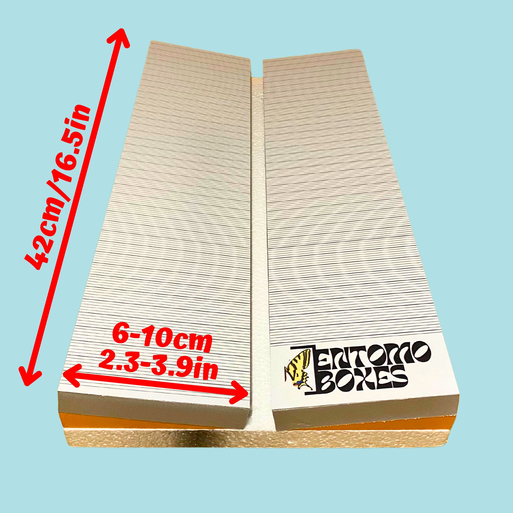 Big Spreading Boards for Large Tropical Butterflies and Moths - Etsy