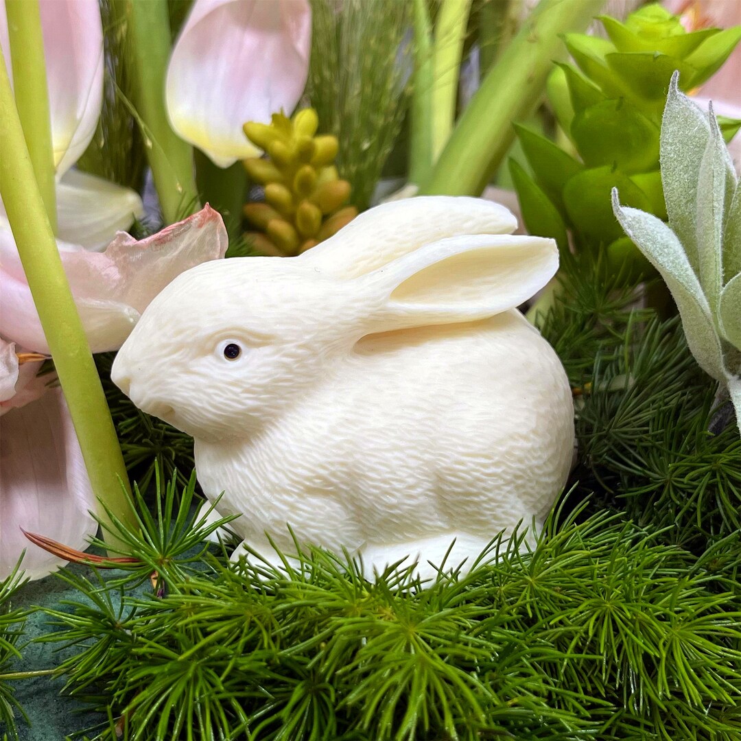 3 Natural Ivory Nut Rabbit,wood Carving Rabbit,ivory Nut Animal,home ...