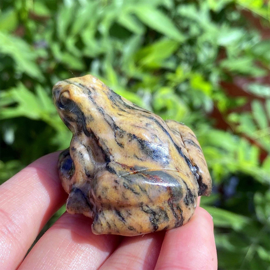 2'' Natural Hand Tiger Stripe Frog Carved,crystal Quartz Frog,home ...