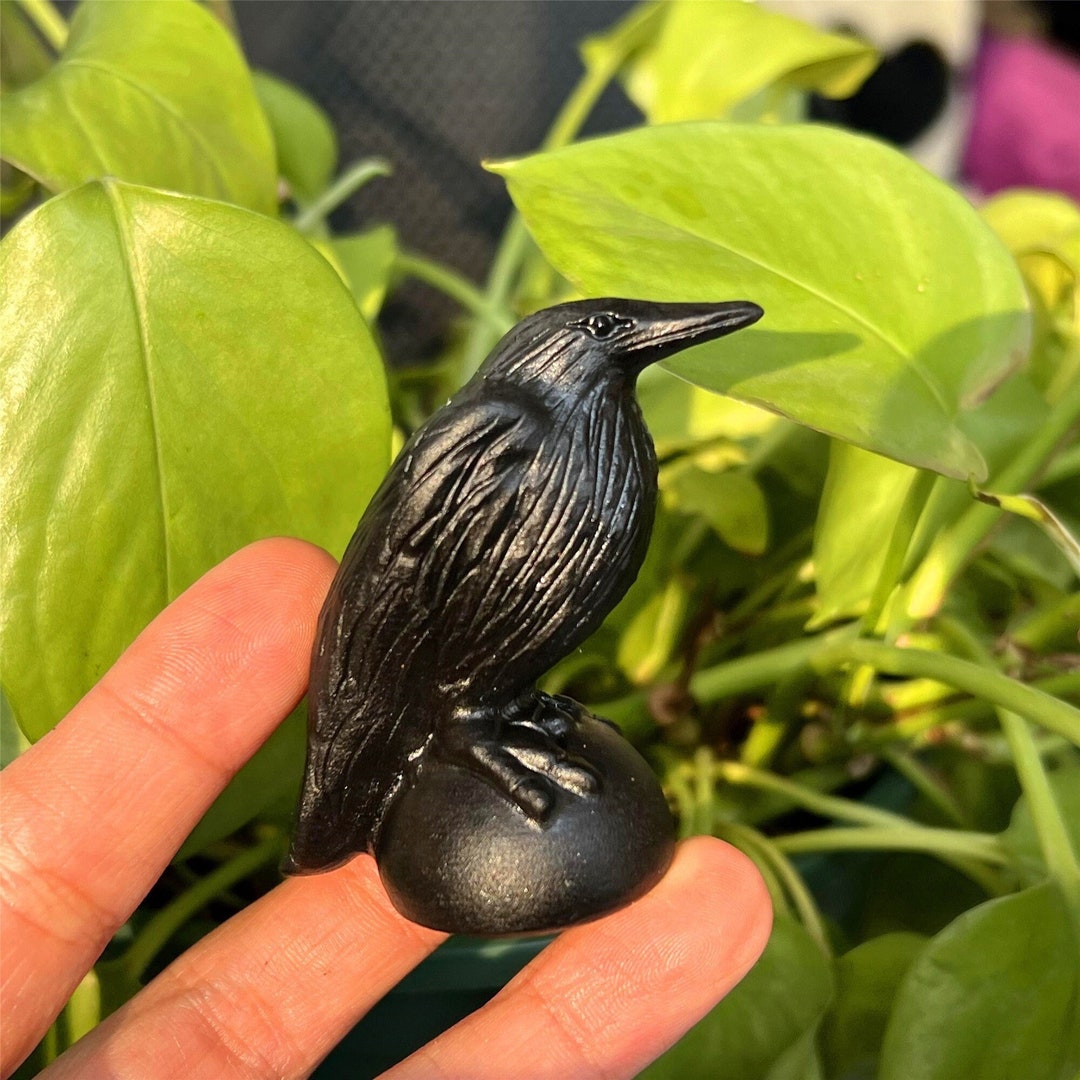2.5 Natural Hand Obsidian Crow Carving,crystal Animal Skull,home Decoration,mineral Specimen ...