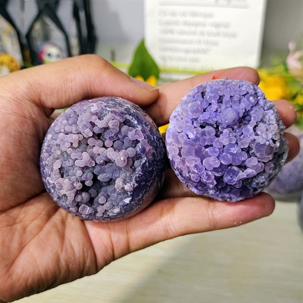 Grapes - Etsy