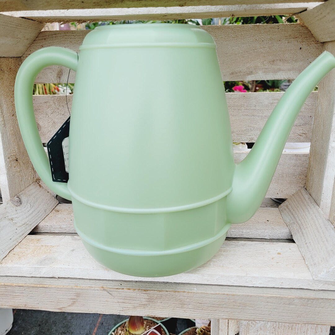 Watering Can Mint 1.8 Liter Water Can - Etsy