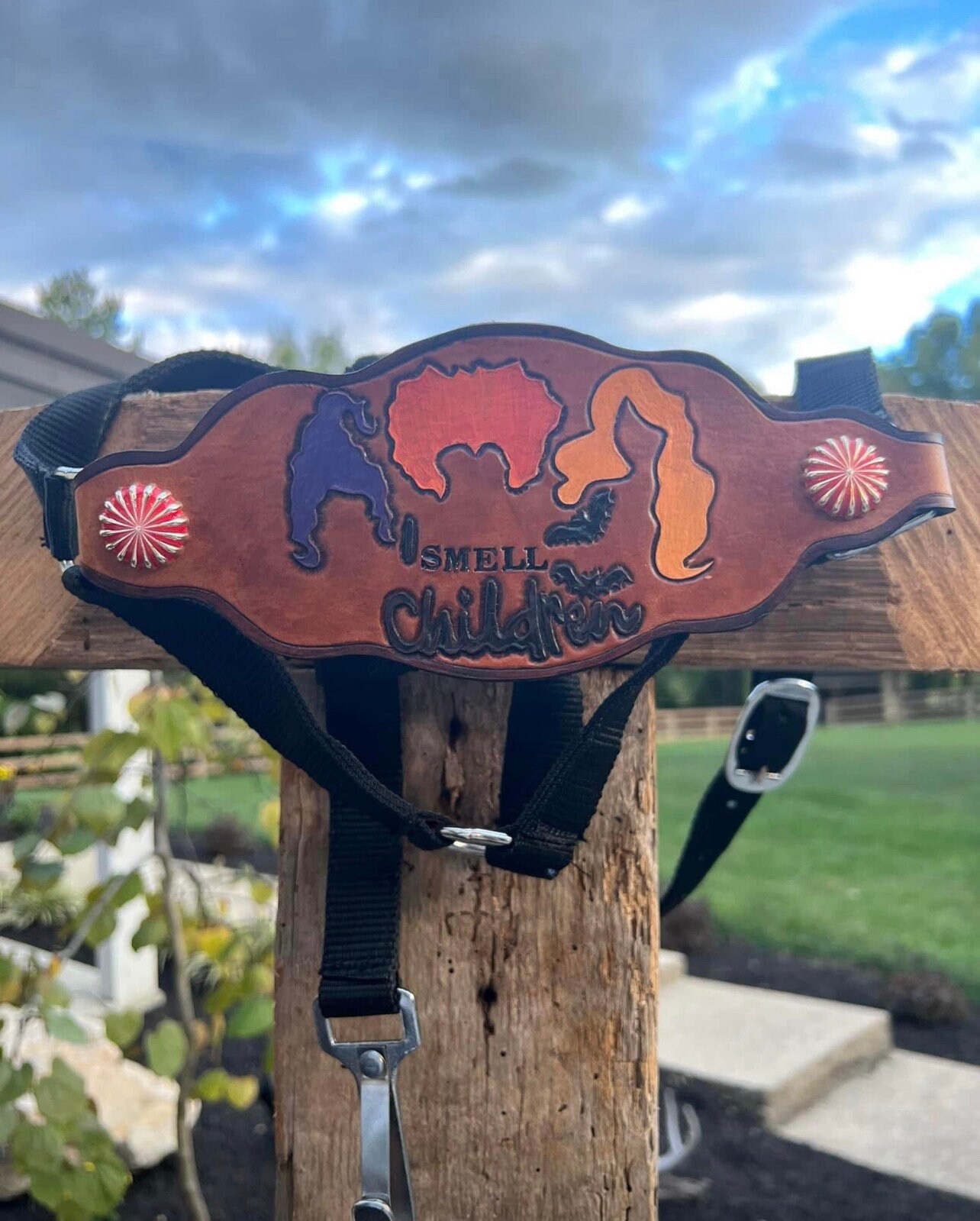 Custom Tooled Leather Nosebands/ Rope Halters/ Bronc Halters/ Regular ...
