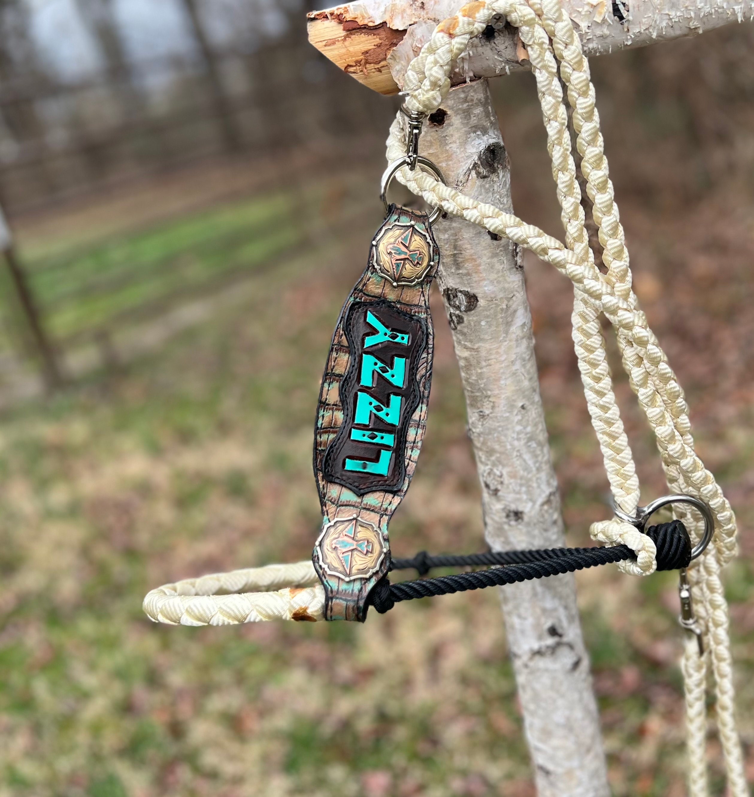 Custom Tooled Leather Side Cheek Pieces - Etsy