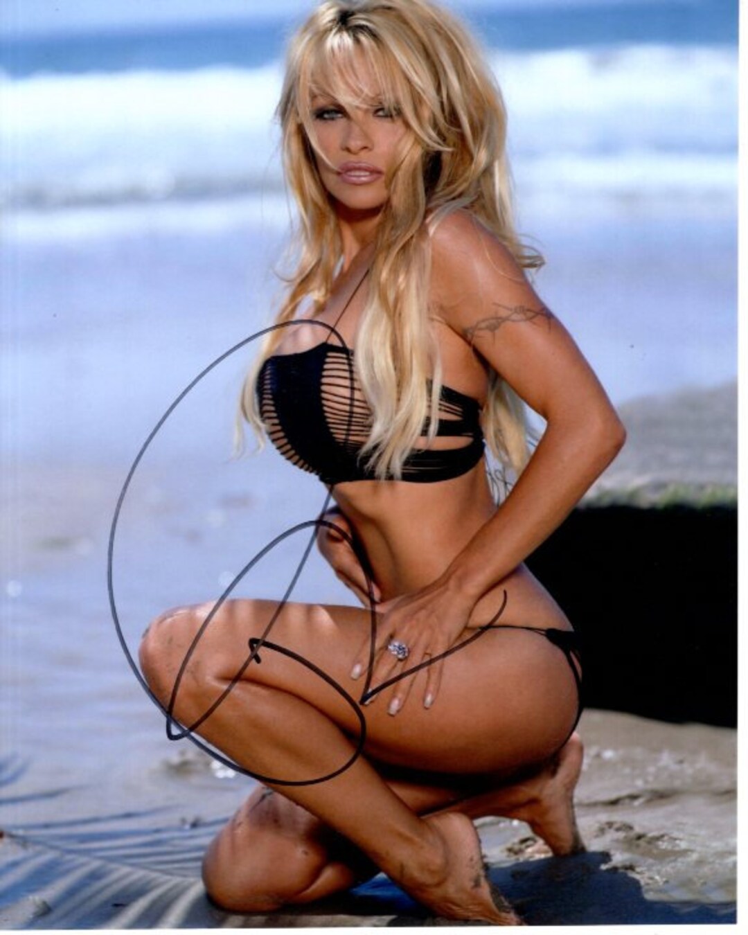 Pamela Pam Anderson Signed Autographed 8X10 Sexy Photo - Etsy