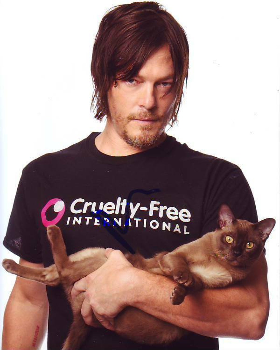Norman Reedus Signed Autographed 8x10 Photo - Etsy