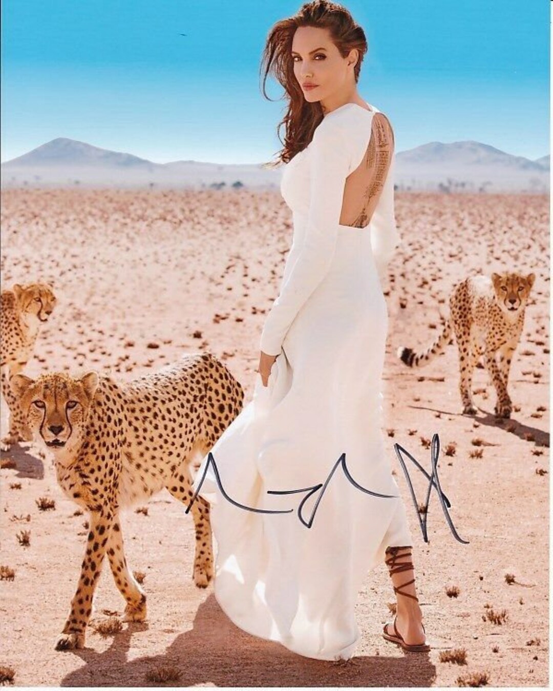 Angelina Jolie Signed Autographed 8x10 Photo - Etsy
