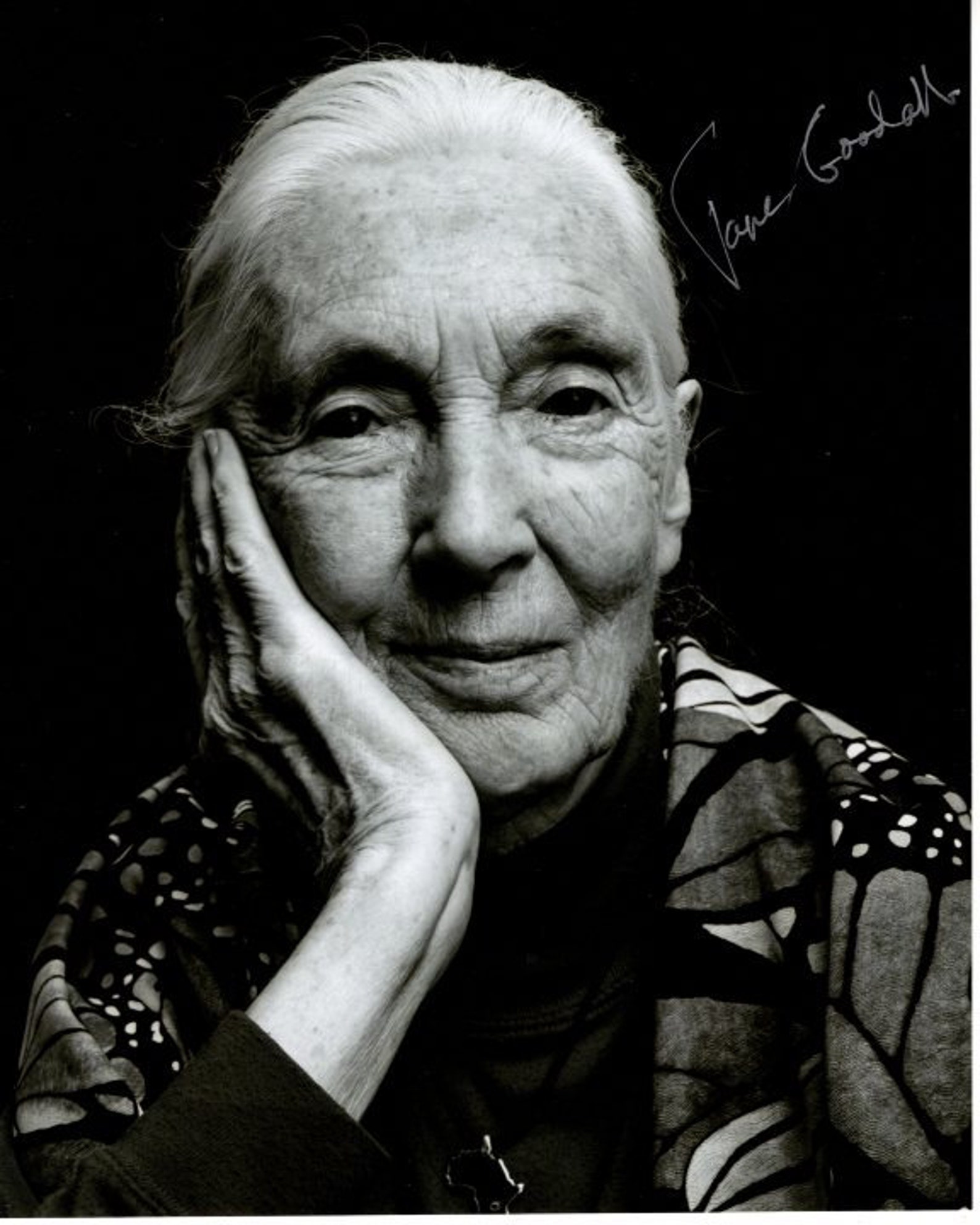 Jane Goodall Signed Autographed 8x10 Photo - Etsy