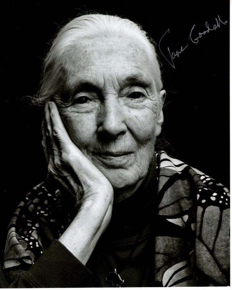 Jane Goodall Signed Autographed 8x10 Photo - Etsy
