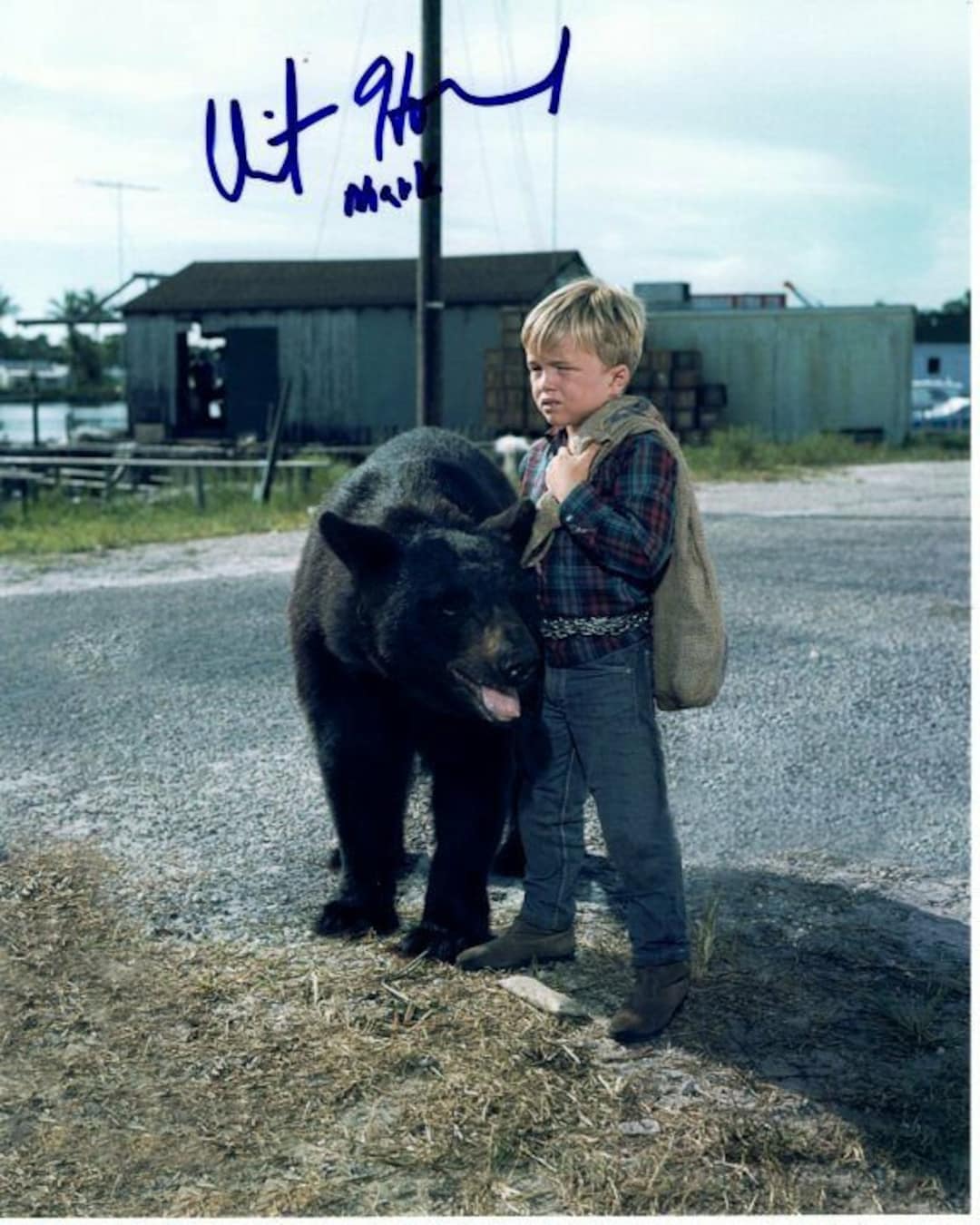 Clint Howard Signed Autographed 8x10 Gentle Ben Mark Wedloe Photo - Etsy