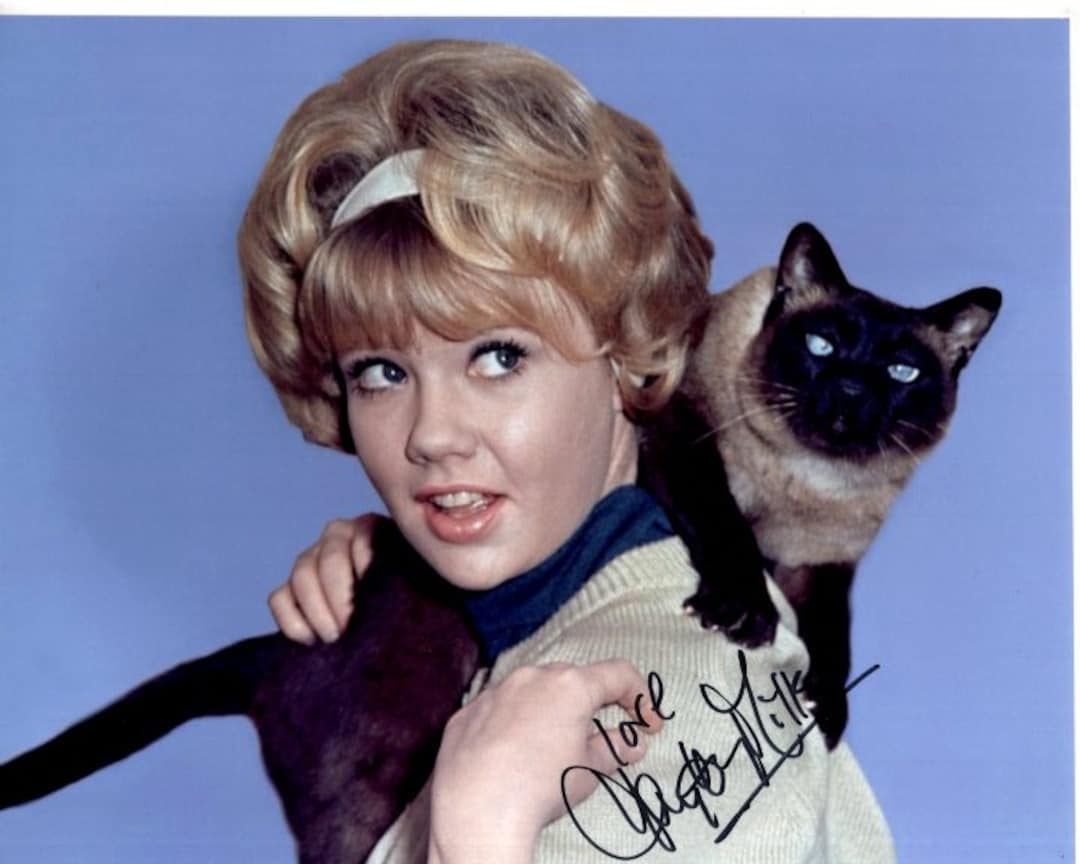 Hayley Mills Signed Autographed 8x10 That Darn Cat! Patti Randall Photo ...