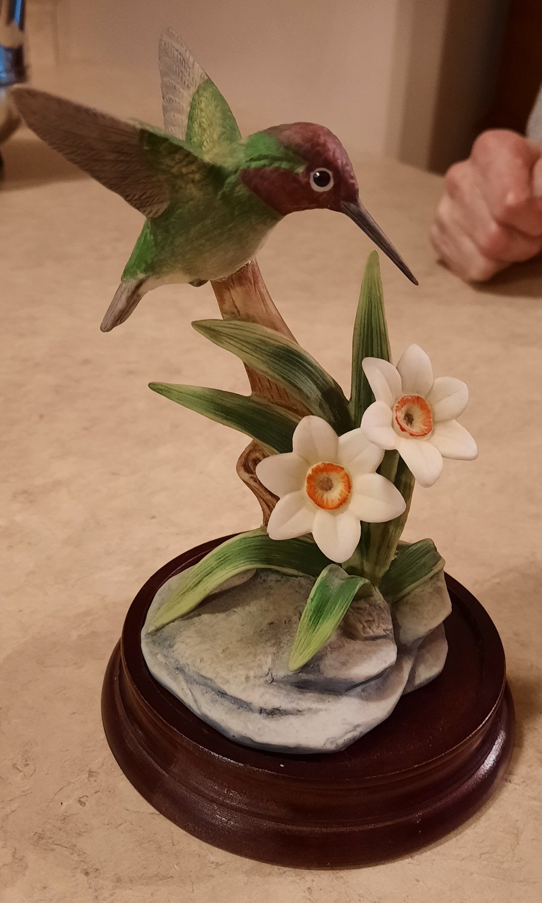 Andrea by Sadek Porcelain Costa's Hummingbird 1983 - Etsy